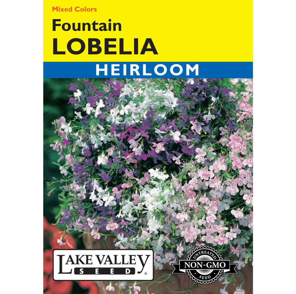 Lake Valley, Lobelia Fountain, Mixed Colors – Alsip Nursery