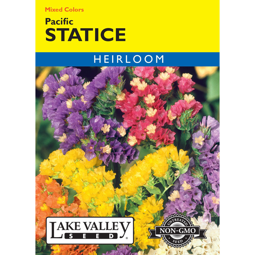 Lake Valley, Statice Pacific, Mixed Colors – Alsip Nursery